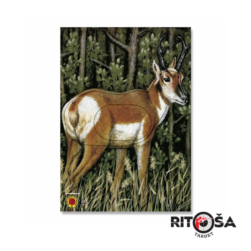 FOTOREALISTIČNA META SRNJAKA 1189x841mm 111234/1 kom | Ritoša Target