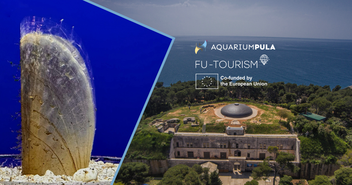 Aquarium Pula – On the Mission to Protect the Marine Treasure and ...