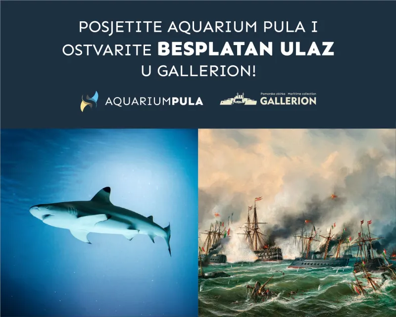 Special Offer of Aquarium Pula in November 2025 | Aquarium Pula