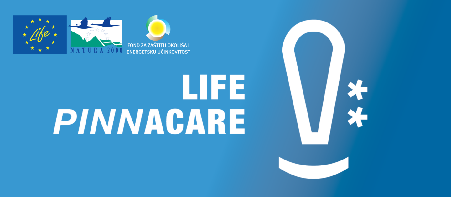 LIFE PINNACARE – Pinna nobilis conservation and restoration | Aquarium Pula