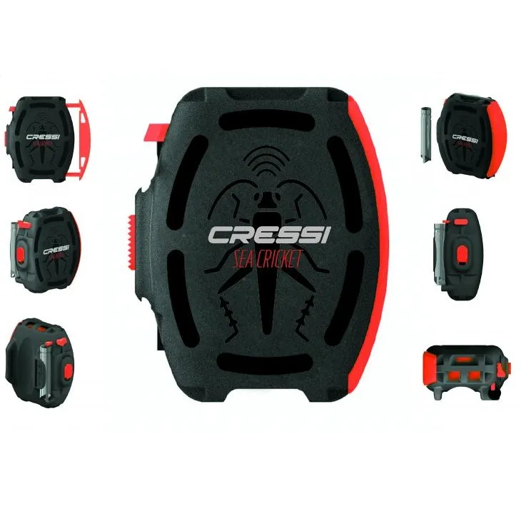 Sea Cricket | Divestore